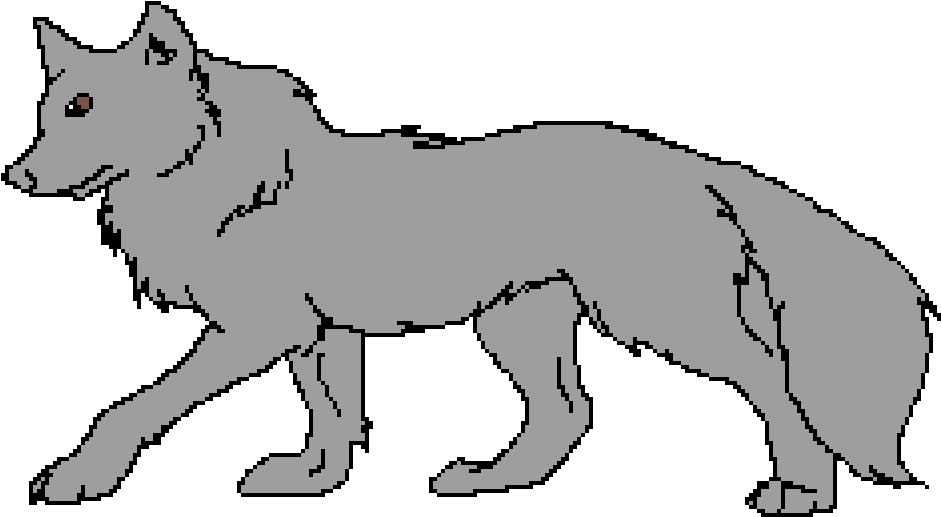 Download Grey Wolf - Wolf - Full Size PNG Image - PNGkit