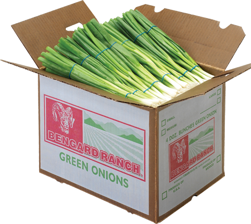 Download Bengard Ranch, Inc. - Full Size PNG Image - PNGkit