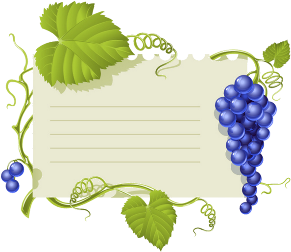 Download Canning Labels, Borders And Frames, Bulletin Boards - Grapes ...