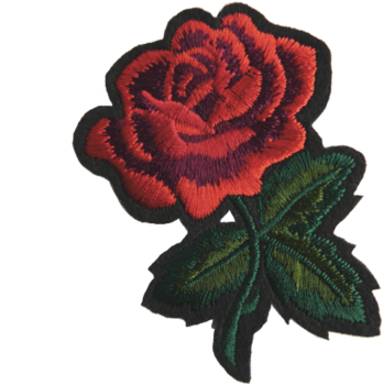 Download Transparent Rose Patch Png - Garden Roses - PNGkit
