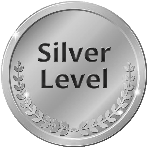 Download Silver Level - Full Size PNG Image - PNGkit