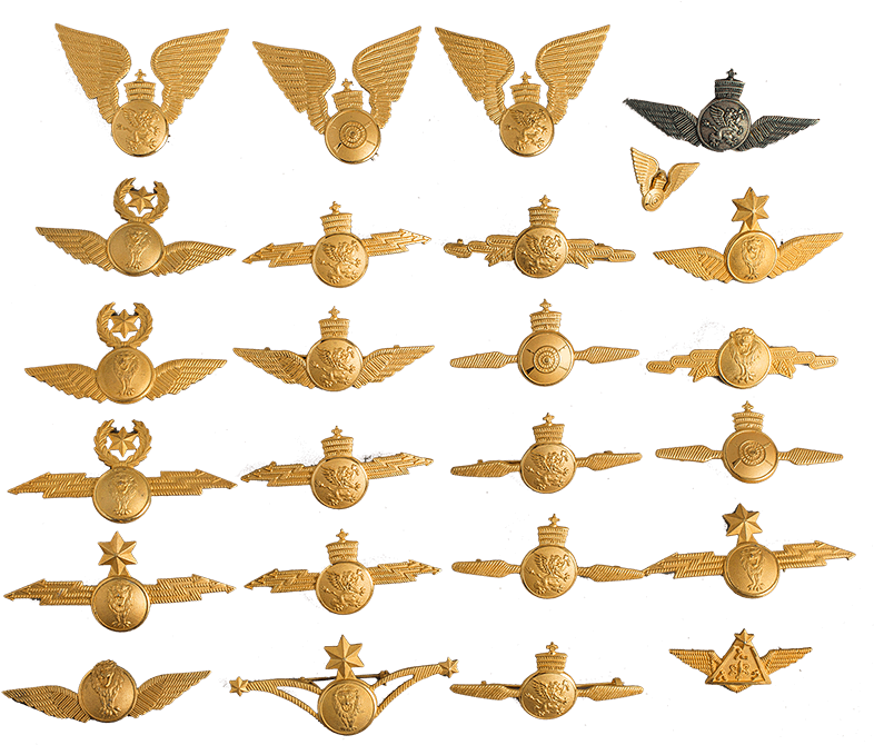 Download The Lion Of Judah - Girl - Full Size PNG Image - PNGkit