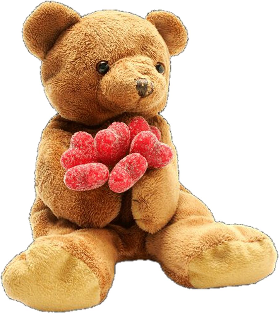 Download Photograph - Full Size PNG Image - PNGkit