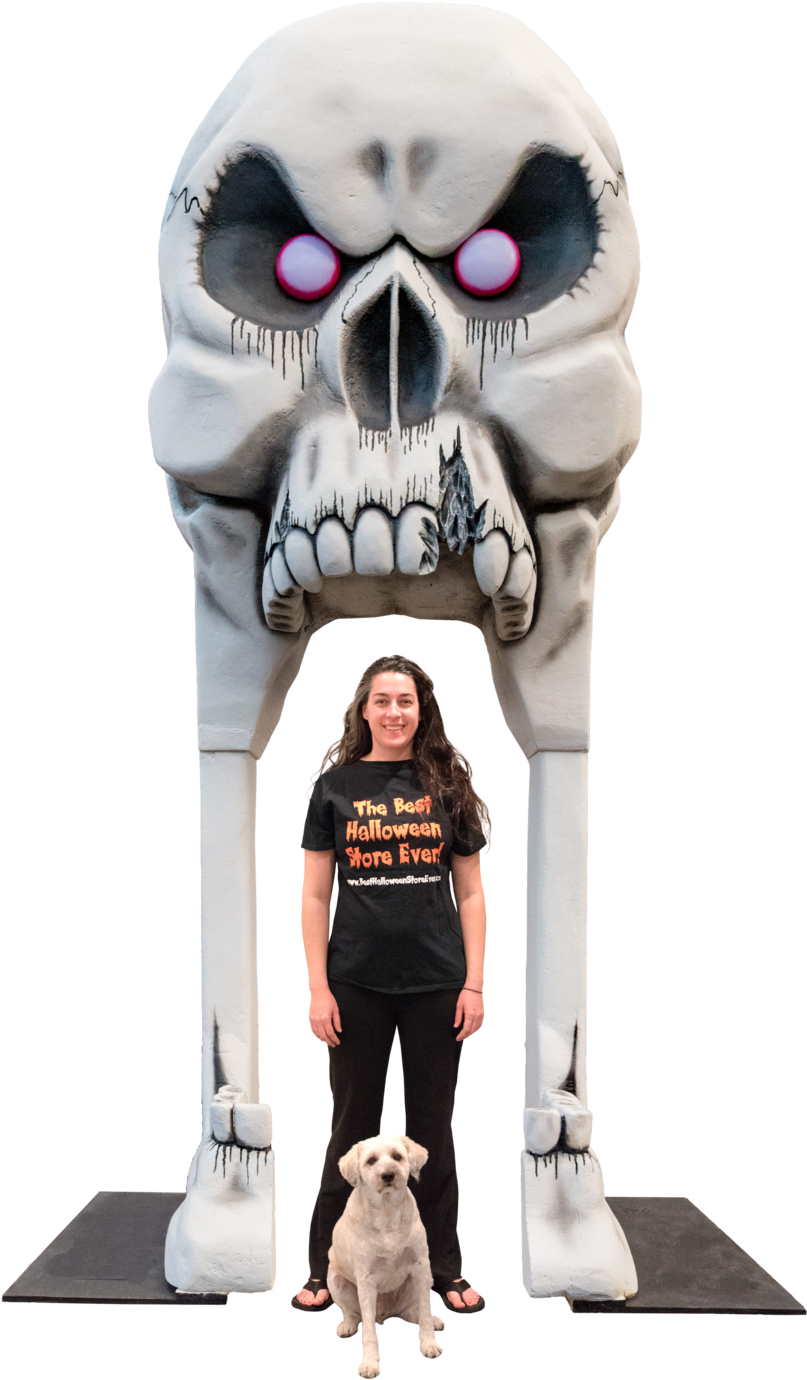 Download Dem Bones Final - Full Size PNG Image - PNGkit