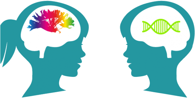 Download Brain Clipart Cognitive - Cognition - Full Size PNG Image - PNGkit