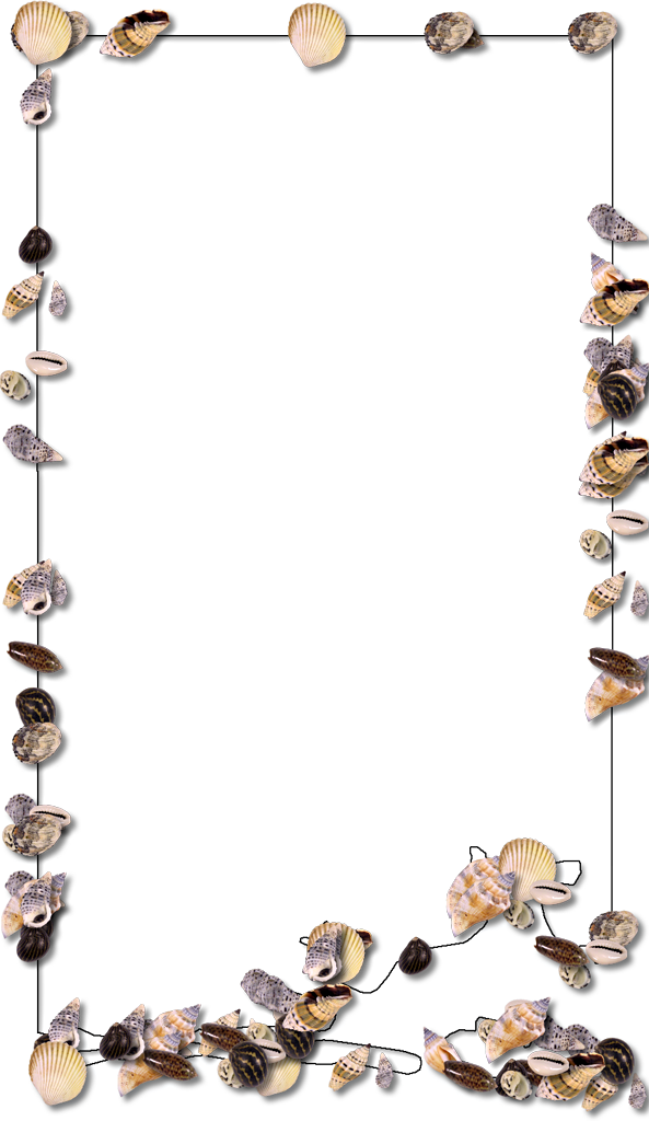 Download Seashell Border Png Download - Yahoo! - Full Size PNG Image ...