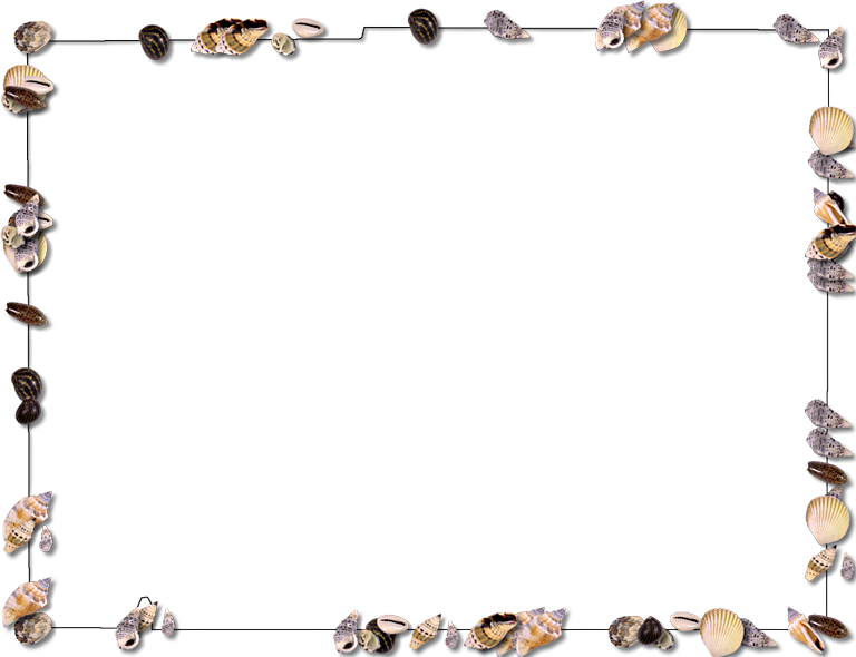 Download Transparent Seashell Border Png - Beach Frame - PNGkit