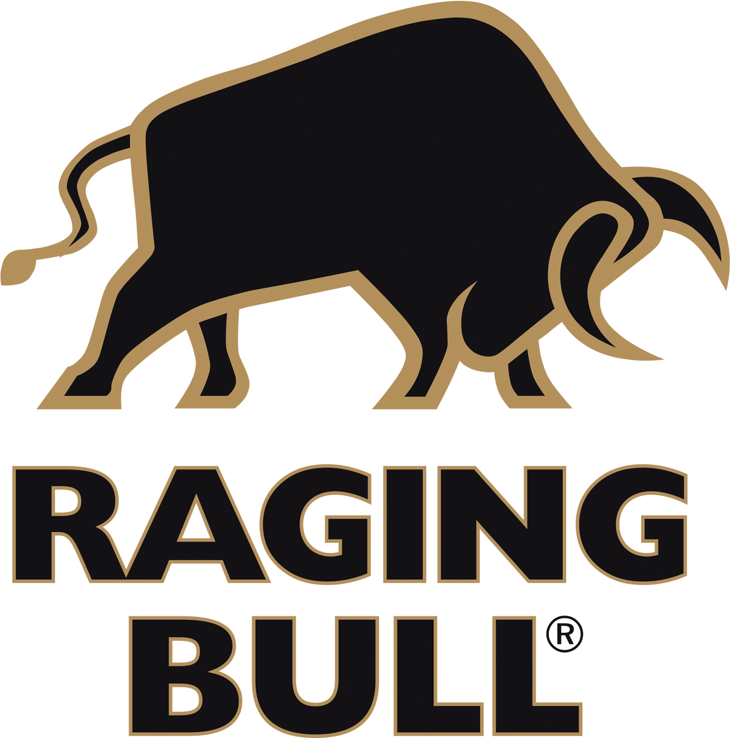 Download Raging Bull Clothing - Full Size PNG Image - PNGkit