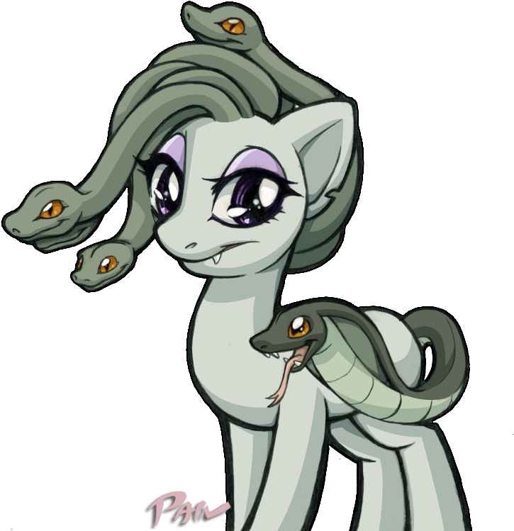 Download Medusa Pony Colored - Full Size PNG Image - PNGkit
