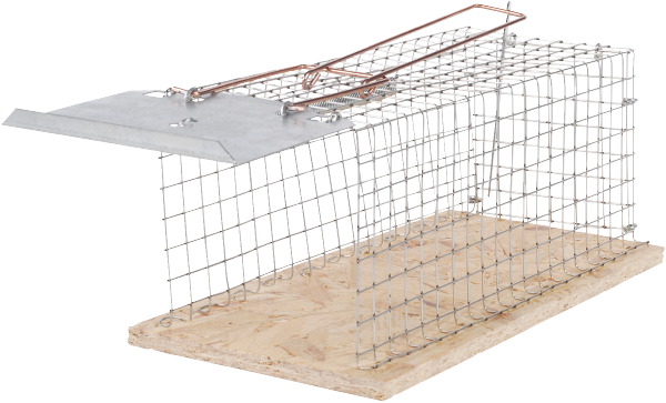 Download Wire Cage - Mouse Trap - Cage Mouse Trap Png - Full Size PNG ...