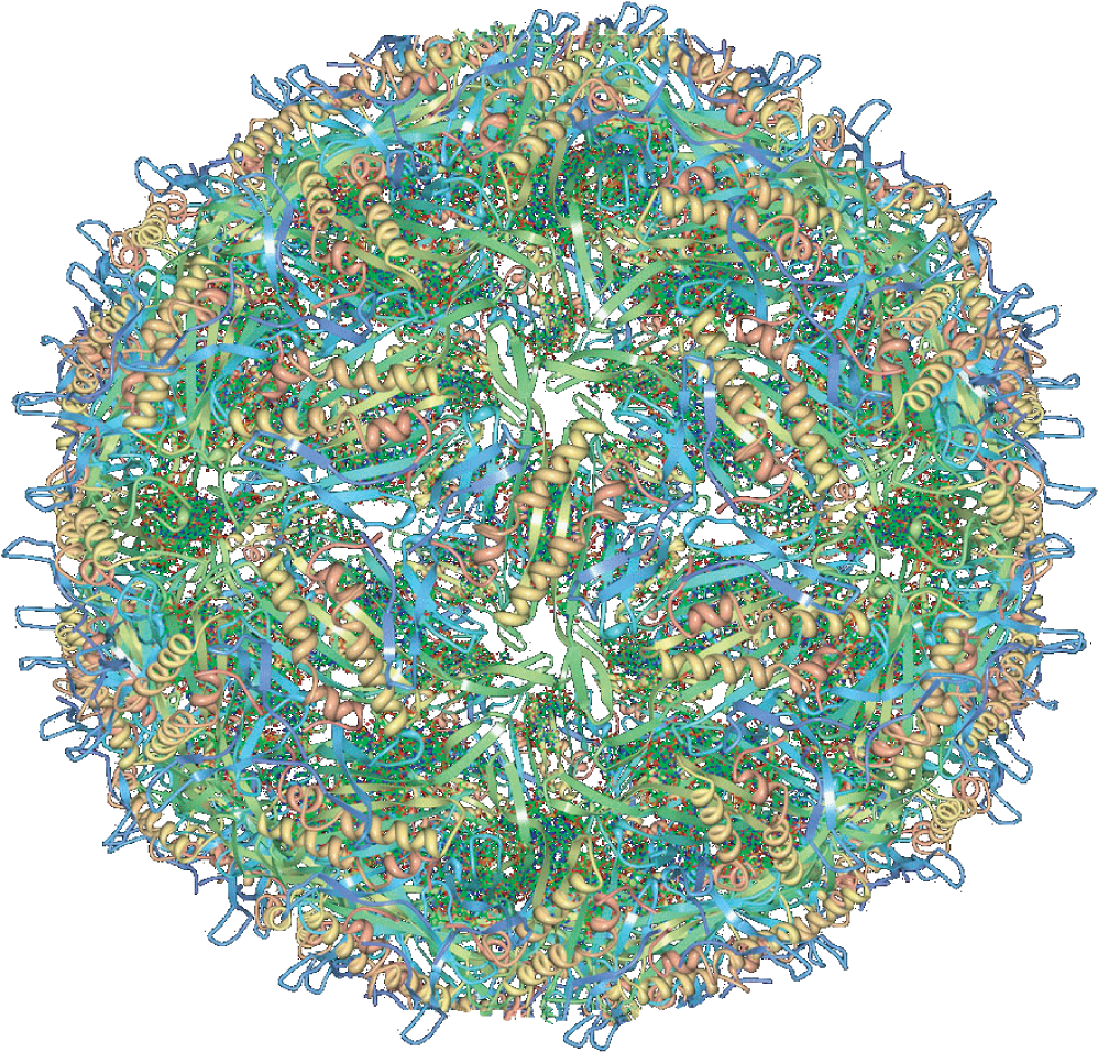 Download Circle - Full Size PNG Image - PNGkit