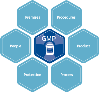 Download Gmp Compliance With Help From The Experts - Importance Of Gmp ...