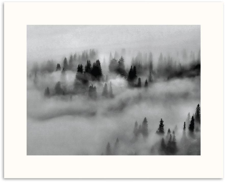 Download Photographers Lane Ground Fog - Art - Full Size PNG Image - PNGkit