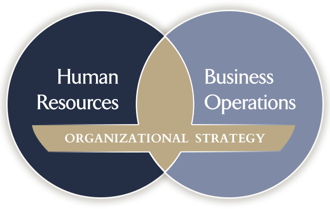 Download Human Resource And Organizational Development - Full Size PNG ...