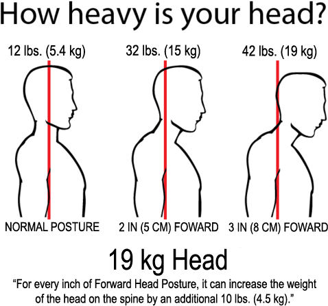 Download Headweight - Posture Head Weight Kg - Full Size PNG Image - PNGkit