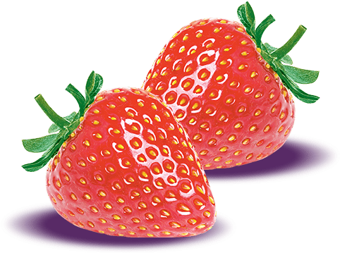 Download Post Navigation - Moja Dieta Cud [book] - Full Size PNG Image ...