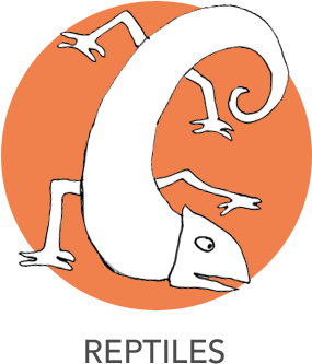 Download Search - Drawing - Full Size PNG Image - PNGkit