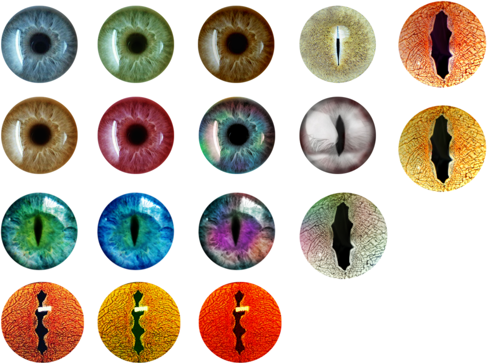 Download Eyes Png Image - Old Social Media Icons - Full Size PNG Image ...