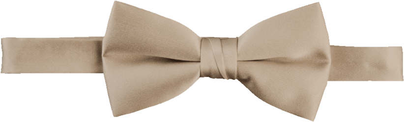Download Beige - Necktie - Full Size PNG Image - PNGkit