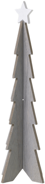 Download White Star Tree - Tree - Full Size PNG Image - PNGkit