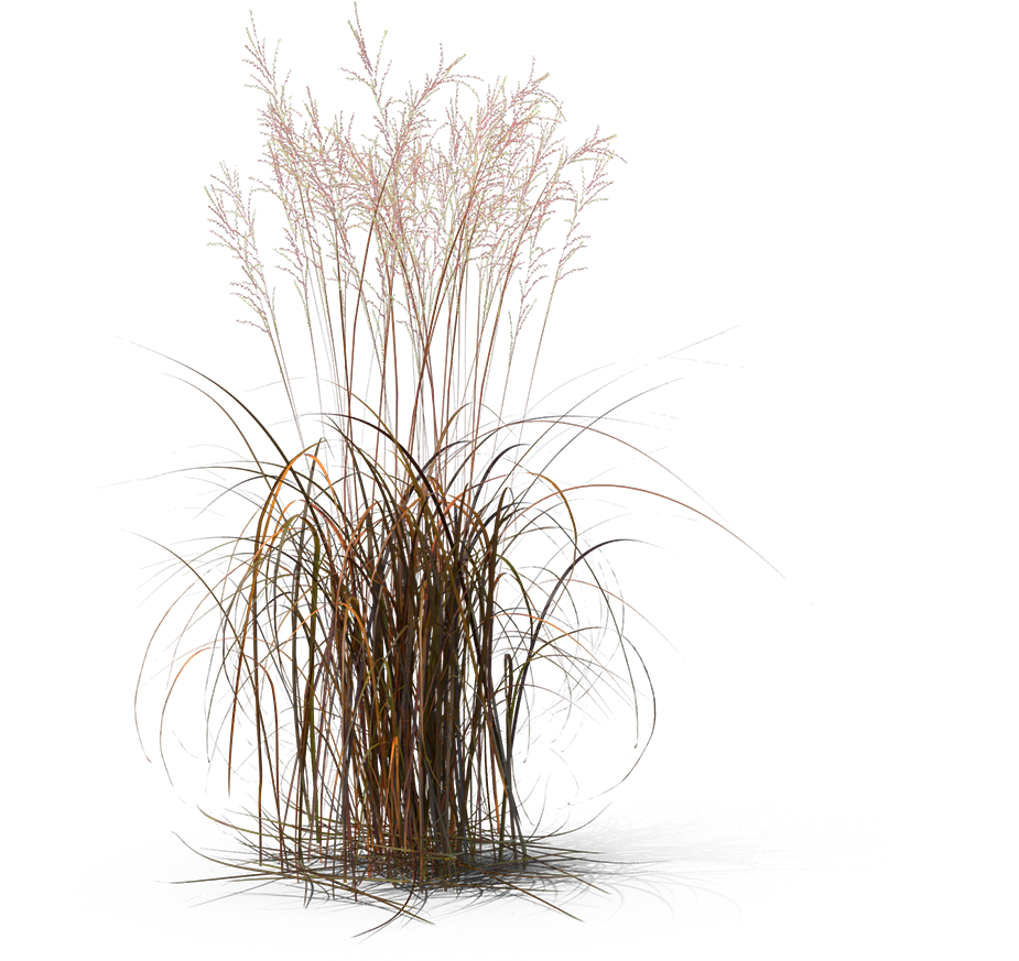 Download 3d Modeling - Full Size PNG Image - PNGkit