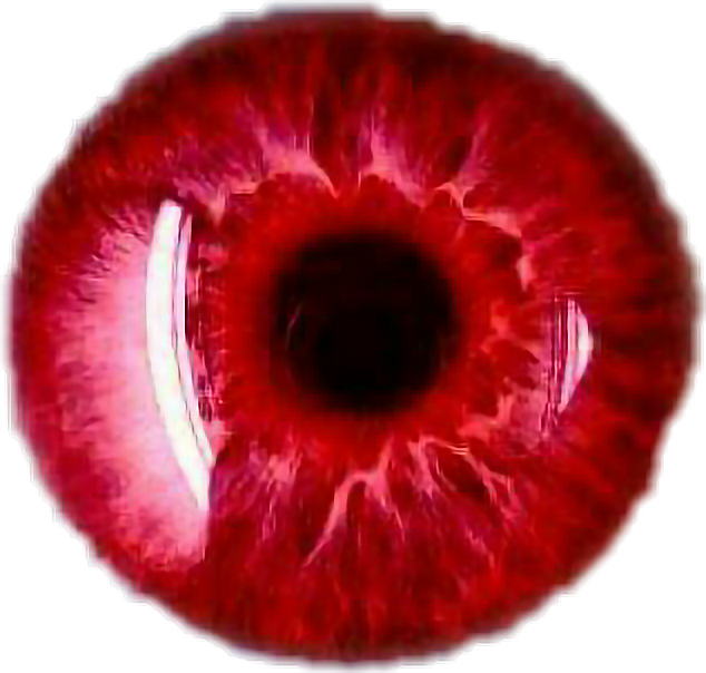 Download Personas Albinas Ojos Rojos - Full Size PNG Image - PNGkit