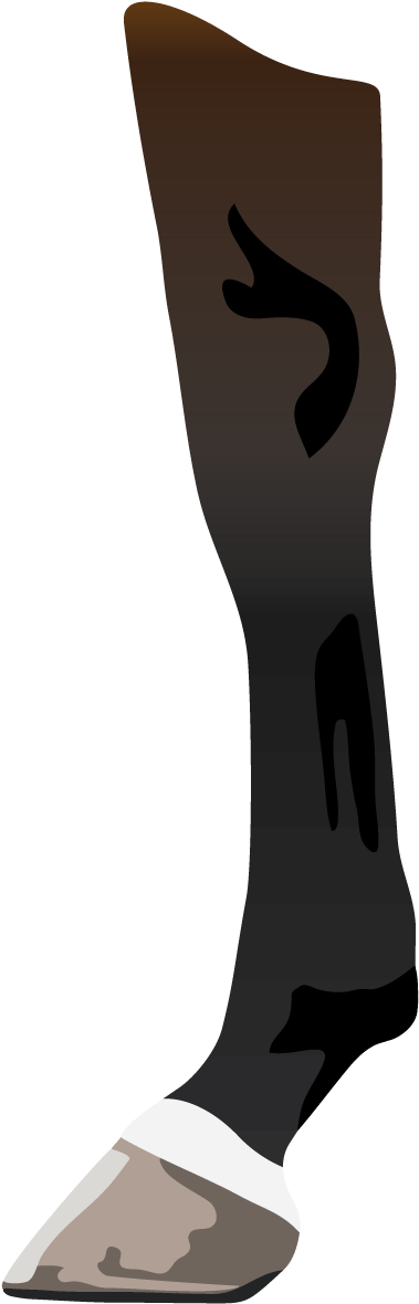 Download Coronet Marking - Illustration - Full Size PNG Image - PNGkit