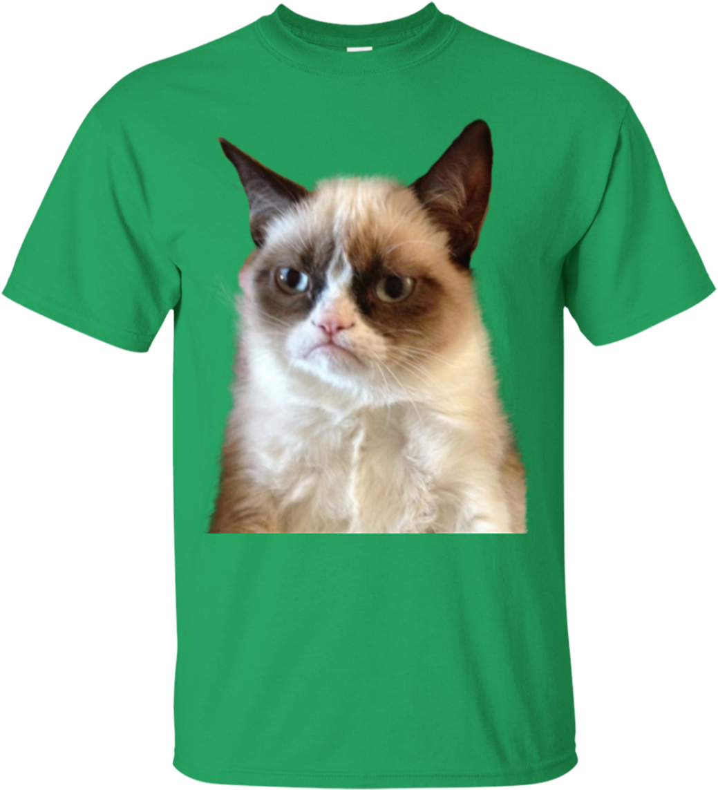 Download Grumpy Cat T-shirt - 61 X 92cm Grumpy Cat Maxi Poster - Full ...