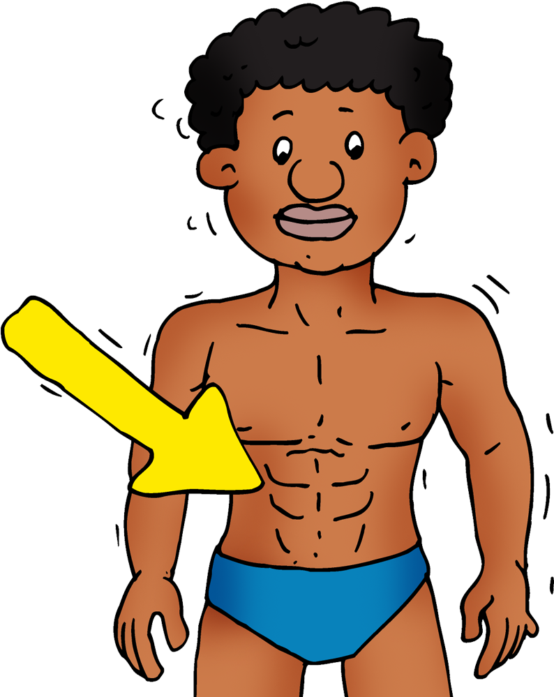 Download Transparent Abs - Cartoon - PNGkit