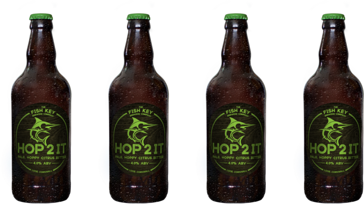 Download Fish Key Beers - Beer Bottle - Full Size PNG Image - PNGkit