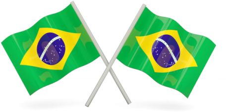 Download Brazil Flag - Transparent Brazilian Flag Png - Full Size PNG ...