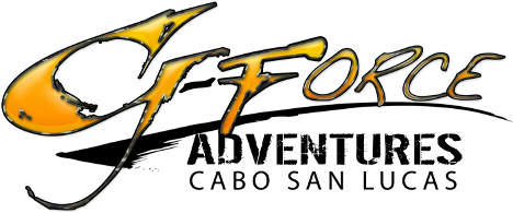 Download Logo G-force - Coupon - Full Size PNG Image - PNGkit