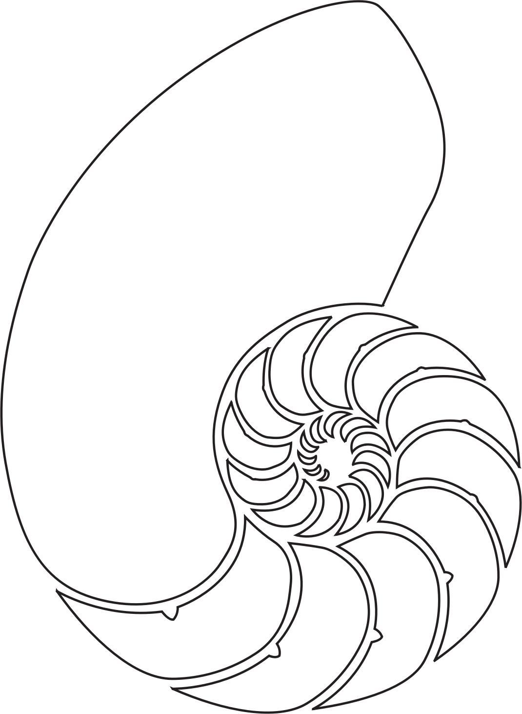 Download This Free Icons Png Design Of Nautilus Shell - Nautilus Shell ...