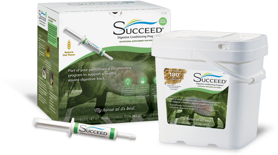 Download Monday Myths - - Horse - Full Size PNG Image - PNGkit