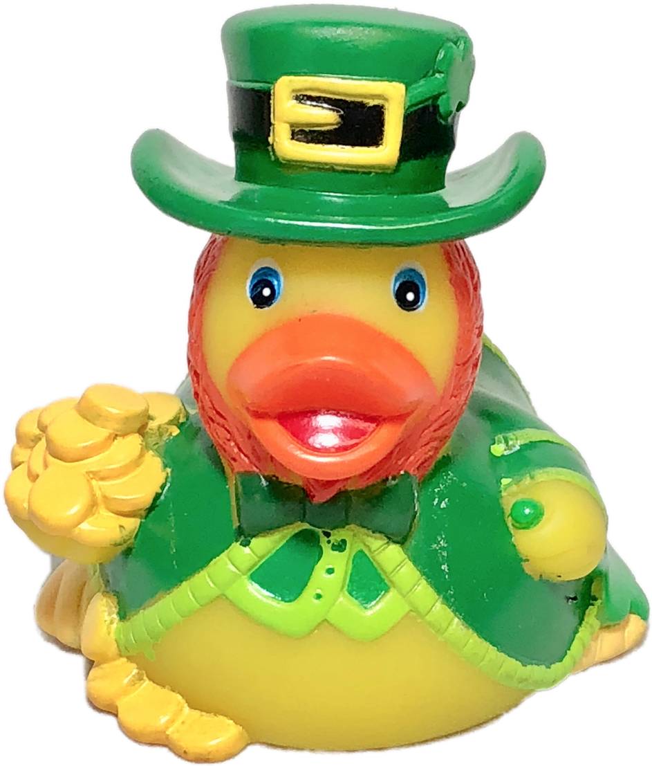 Download Irish Duck - Full Size PNG Image - PNGkit