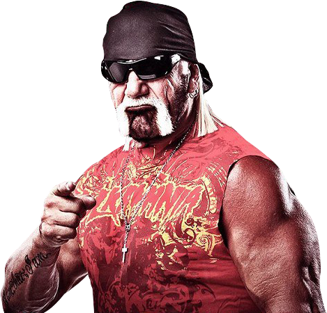 Download Hulk Hogan - Full Size PNG Image - PNGkit