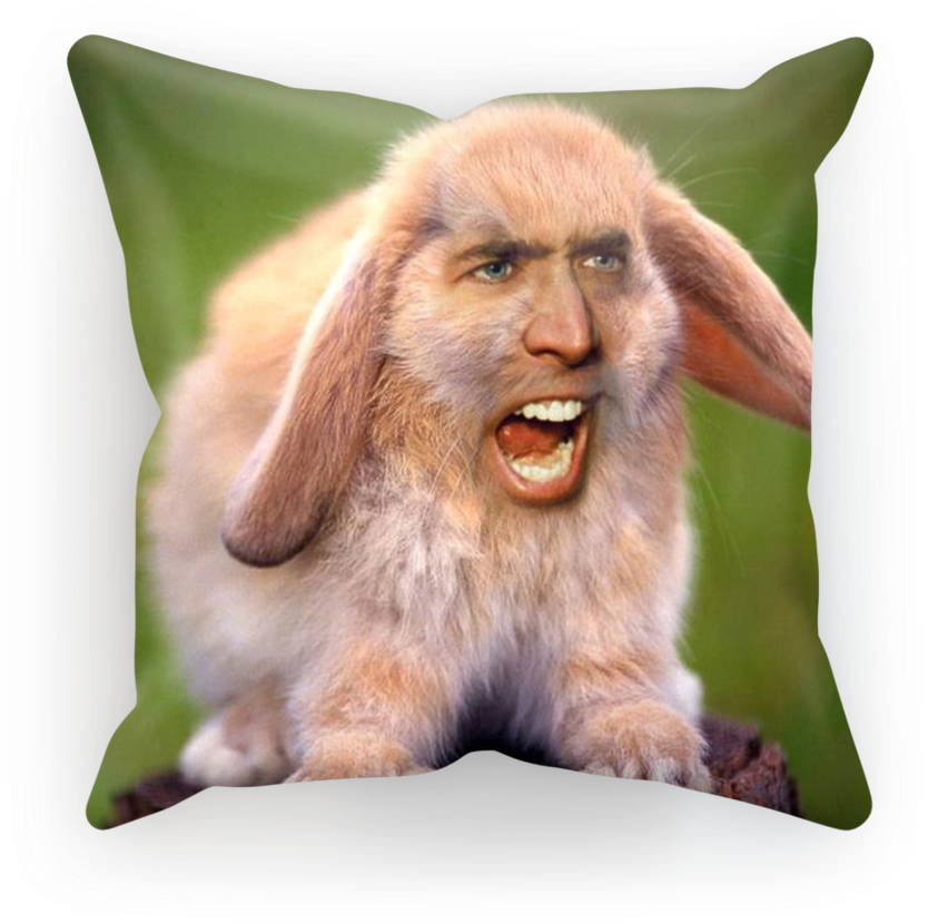 Download Nicolas Cage's Face On A Rabbit ﻿sublimation Cushion - Nicolas ...