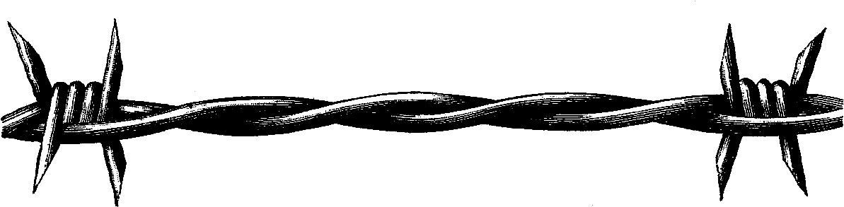 Download Barbwire Border - Barbed Wire Clipart - Full Size PNG Image ...