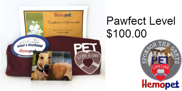 Download Hemopet - Full Size PNG Image - PNGkit