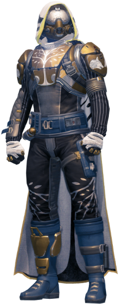 Download Iron Banner Hunter1 Destiny Bungie, Destiny Game, My - Destiny ...