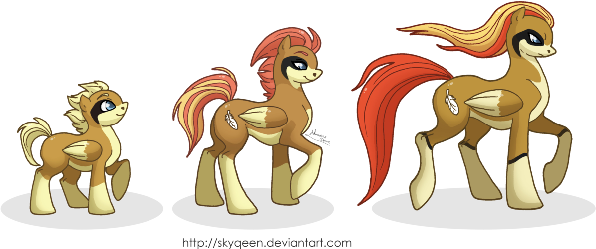 Download Mysweetqueen, Evolution Chart, Pegasus, Pidgeot, Pidgeotto ...