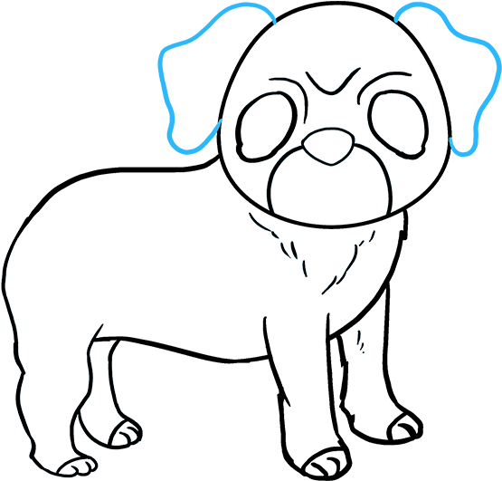 Download How To Draw Pug - Drawing - Full Size PNG Image - PNGkit
