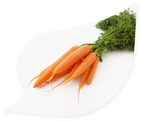 Download Lemon Zester Tool And Cheese Grater.high Quality Stainless ...