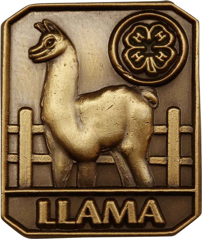 Download Llama Pin - Emblem - Full Size PNG Image - PNGkit