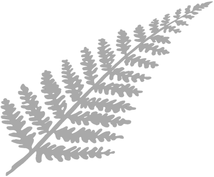 Download Silver Fern Gallery - Full Size PNG Image - PNGkit