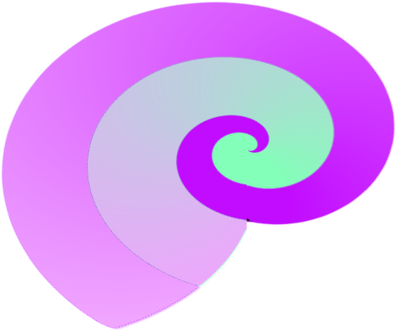 Download Seashell - Circle - Full Size PNG Image - PNGkit