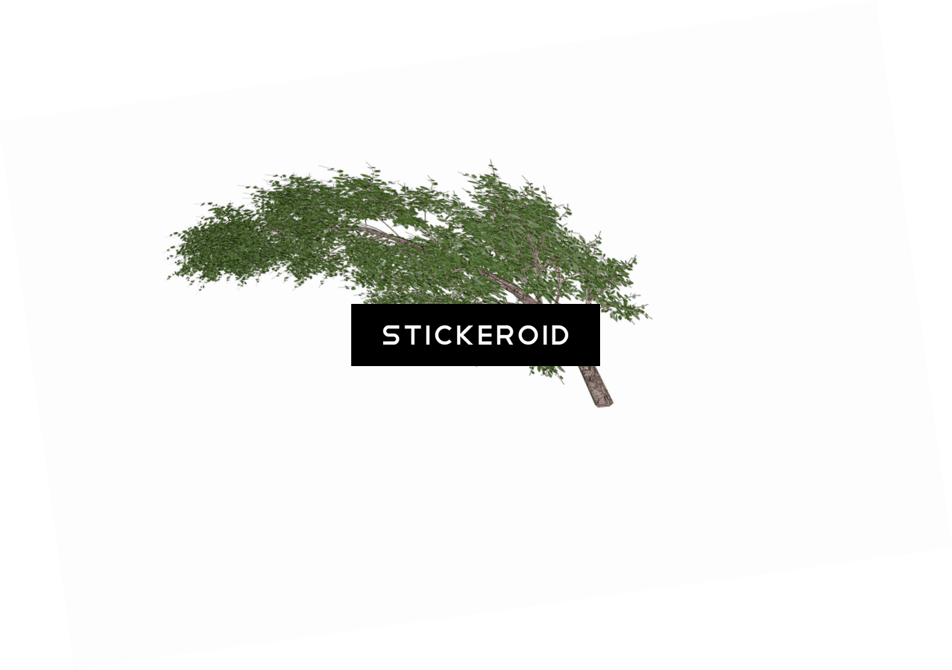 Download Tree Waving In Wind - Tree - Full Size PNG Image - PNGkit
