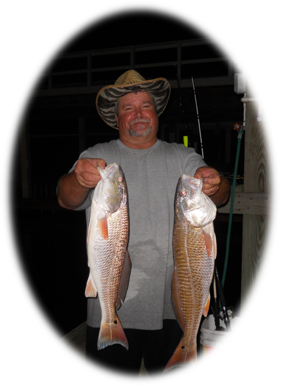 Download Larry Roden Obit Photo - Coregonus Lavaretus - Full Size PNG ...