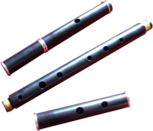 Download Delrin Flute - Des Seery - Zoom Video Communications - Full ...