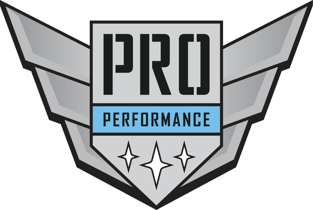 Download Pro Performance To Inform, Inspire & Impact - Pro Performance ...